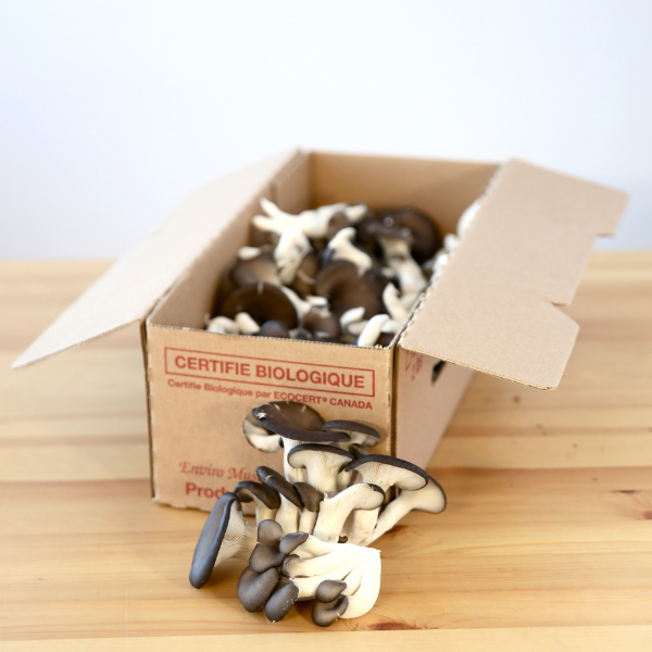 100km Foods |Enviro Mushroom Farm | 100km Foods Producer Profile