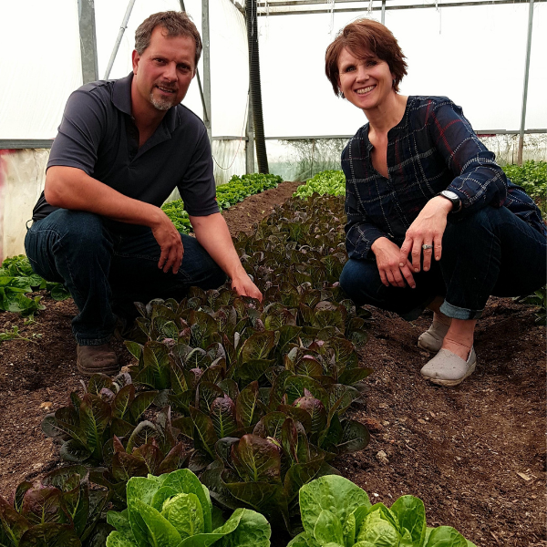 100km Foods |Fisherville Greenhouses | 100km Foods Producer Profile