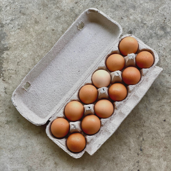 100km Foods |Homestead Farm | 100km Foods Producer Profile