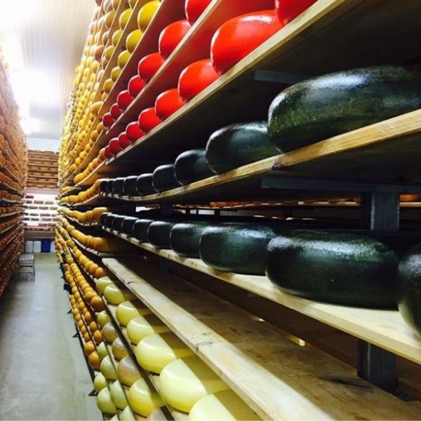 100km Foods |Mountainoak Cheese | 100km Foods Producer Profile