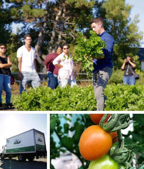 100km Foods |Become A 100km Foods Vendor